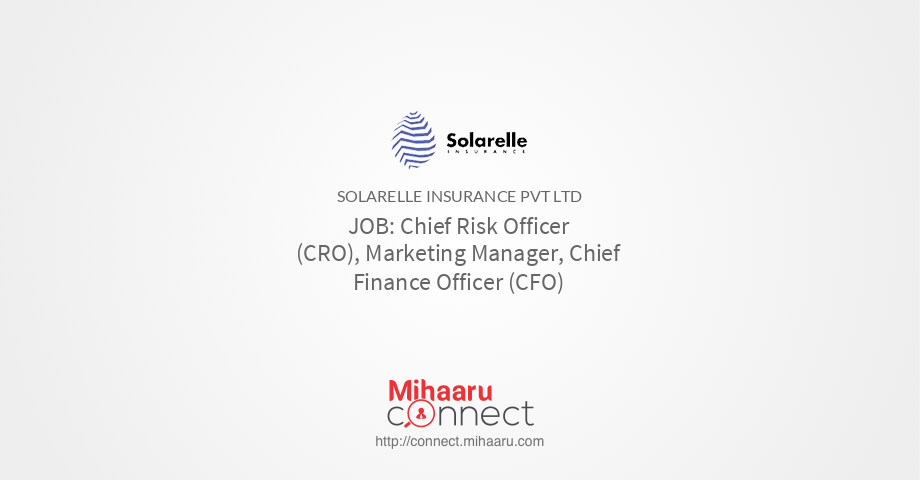 Chief Risk Officer (CRO), Marketing Manager, Chief Finance Officer (CFO ...