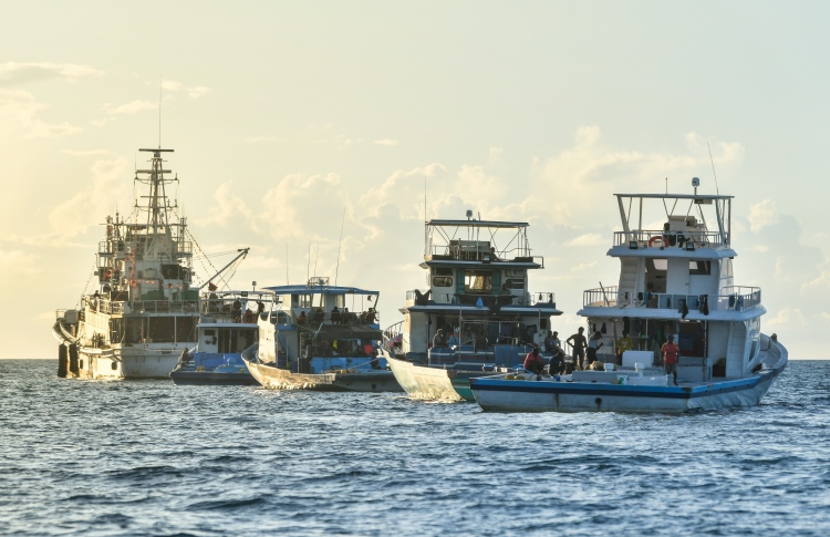 Four vessels operating in southern Maldives shifted to Felivaru